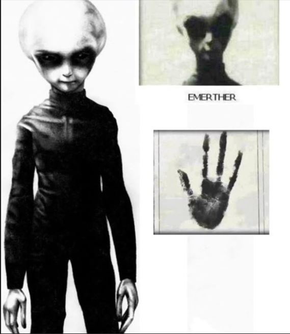 Emerther: Mysterious Alien Encounter – Leaked Evidence or Sci-Fi Hoax ...