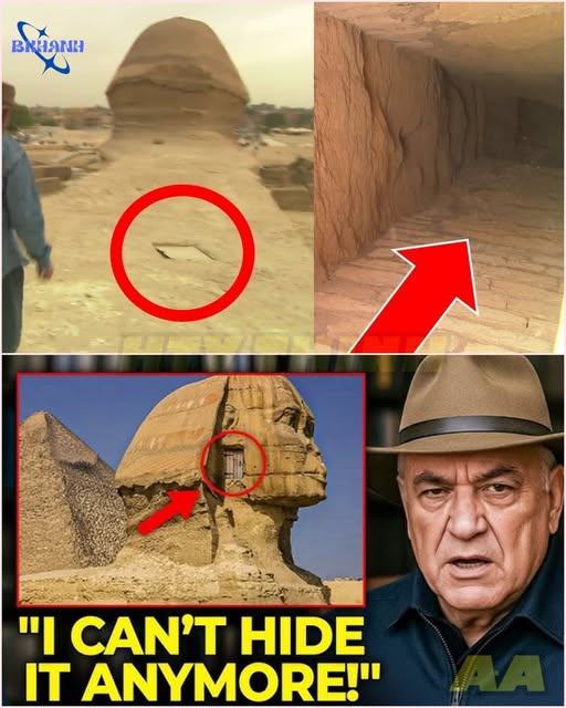 Before I Die, I Need To Tell The Truth — Zahi Hawass Unveils Shocking ...