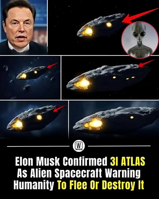 Elon Musk Just Revealed a Shocking Truth About The 3I ATLAS! - UFO Secret